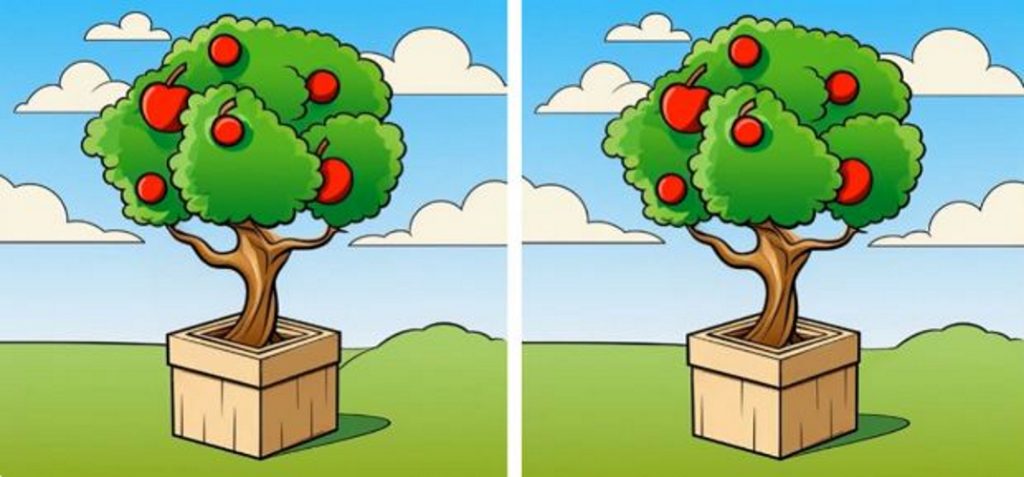 Testul care îți arată cât de bine stai cu vederea. Găsește diferențele ... Testul care îți arată cât de bine stai cu vederea. Găsește diferențele ...